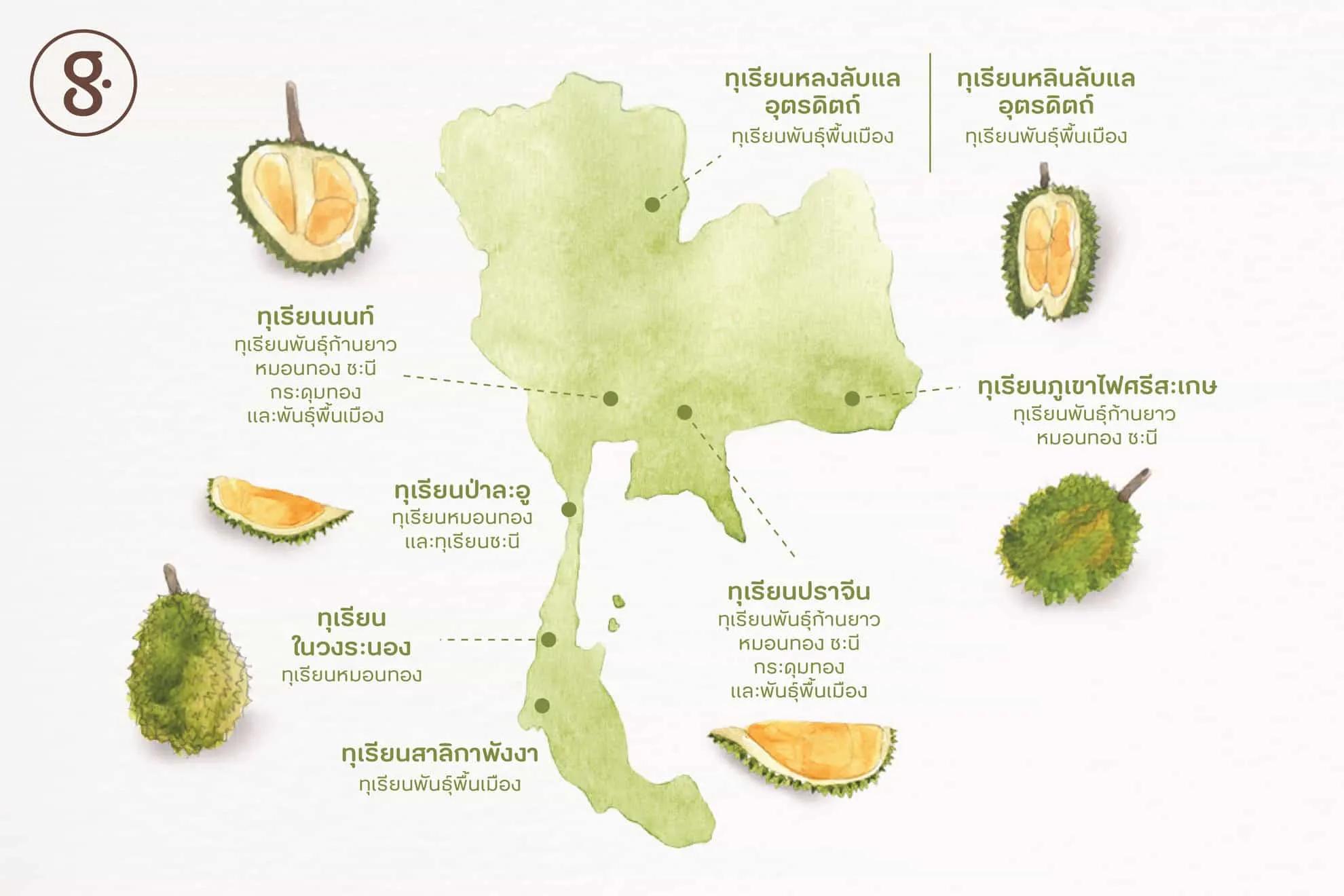 Durian-04(Edit) - greenery.