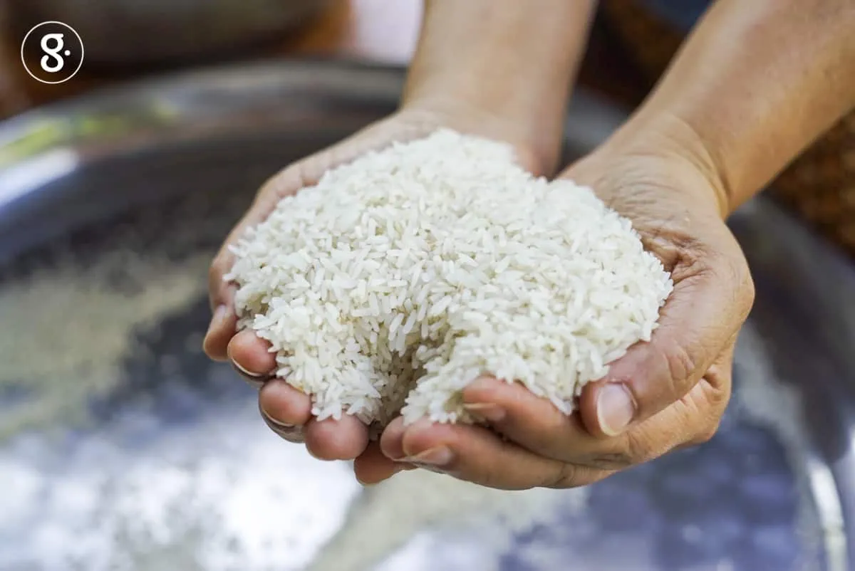 Insight_กินข้าว-5 - greenery.