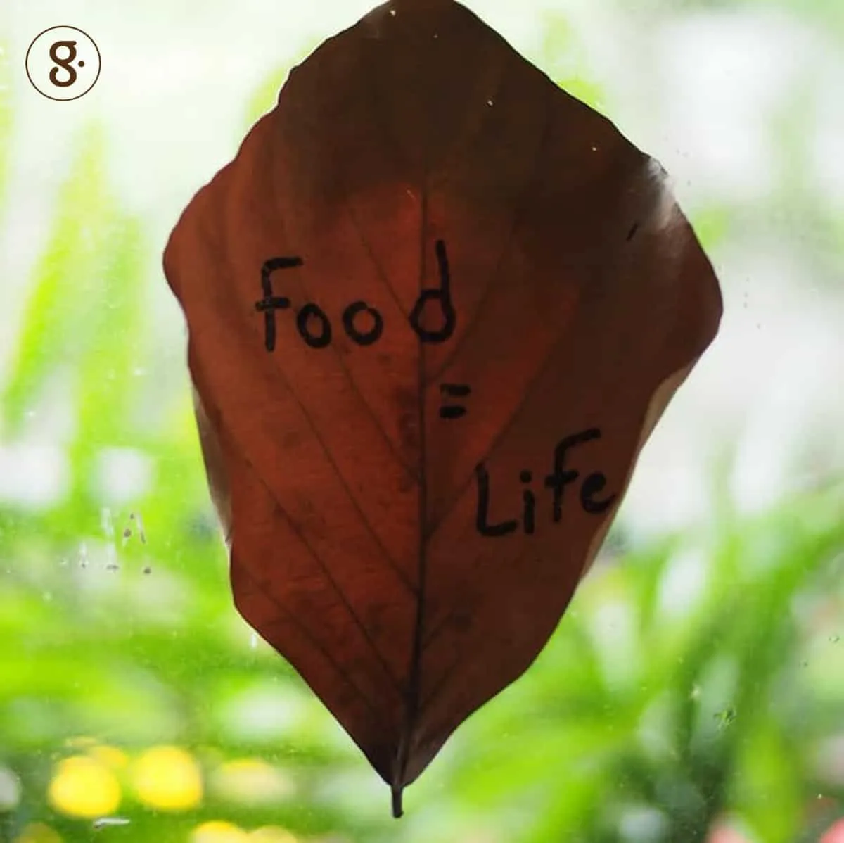 Report_Forest Garden-4 - greenery.