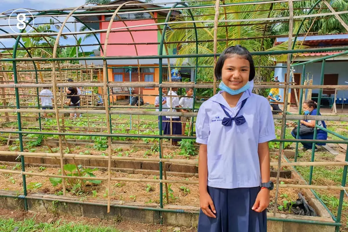 Report_ผักวาระแห่งชาติ-2 - greenery.