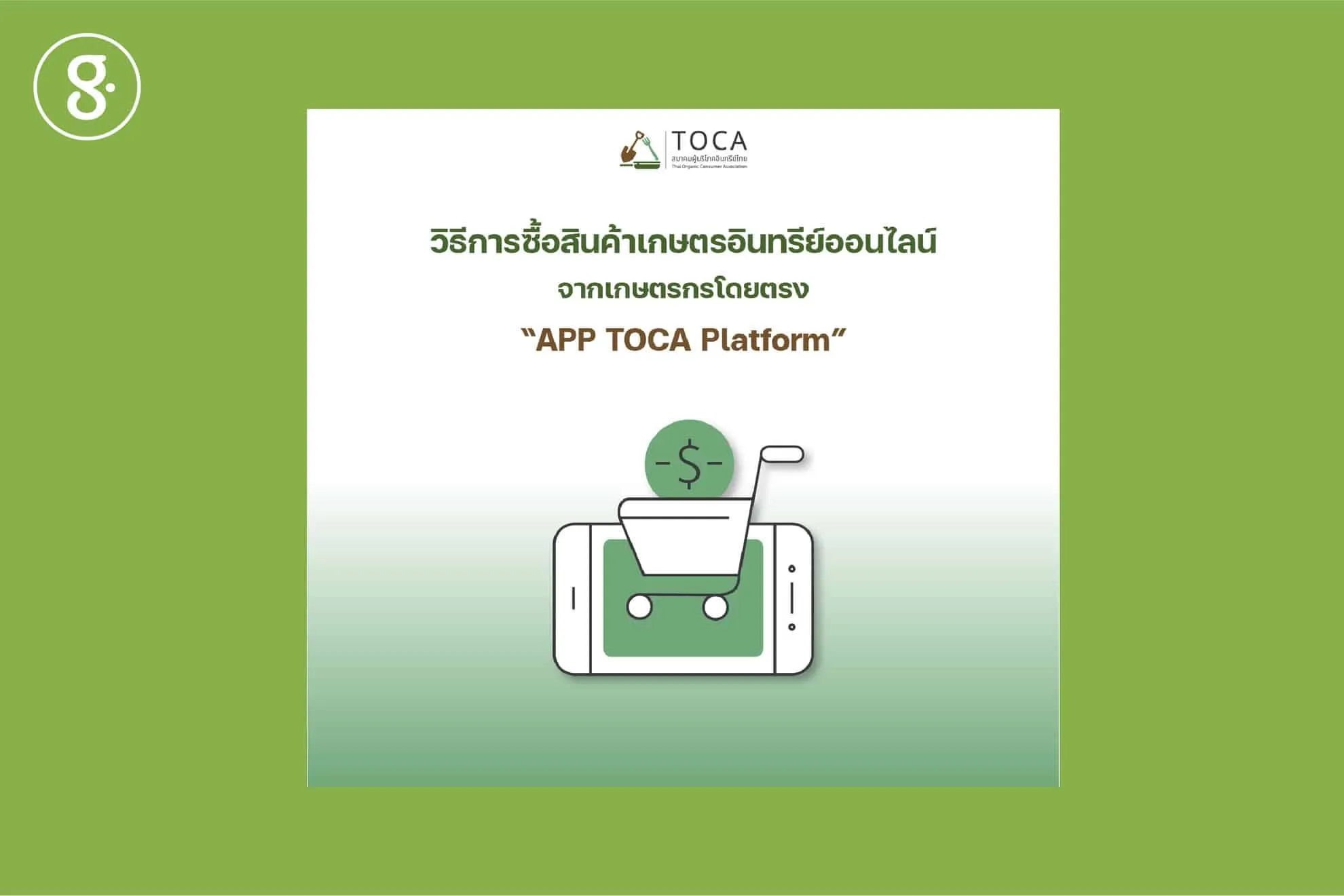 Report_ภาคี TOCA-05 - greenery.