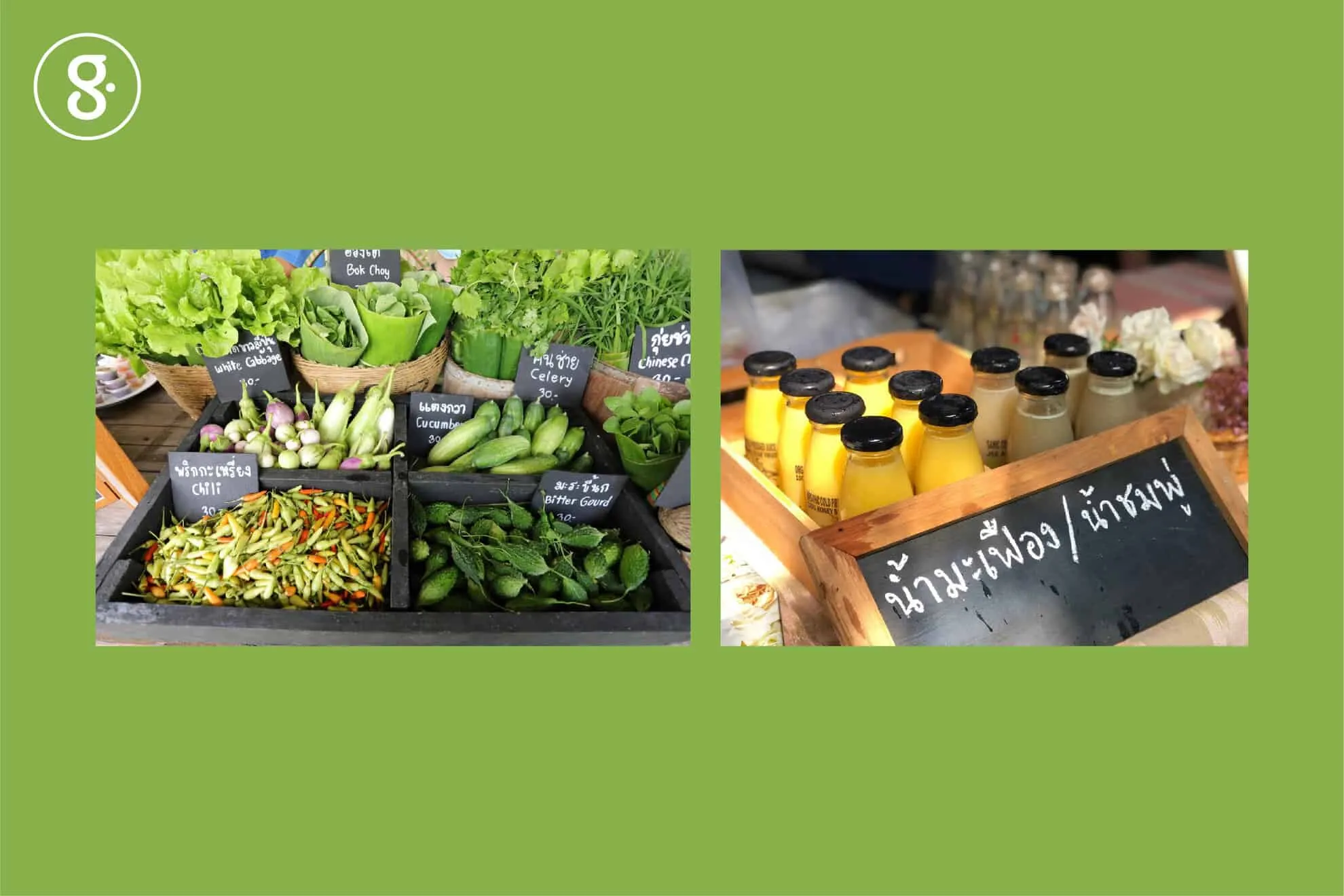 Report_ภาคี TOCA-12 - greenery.