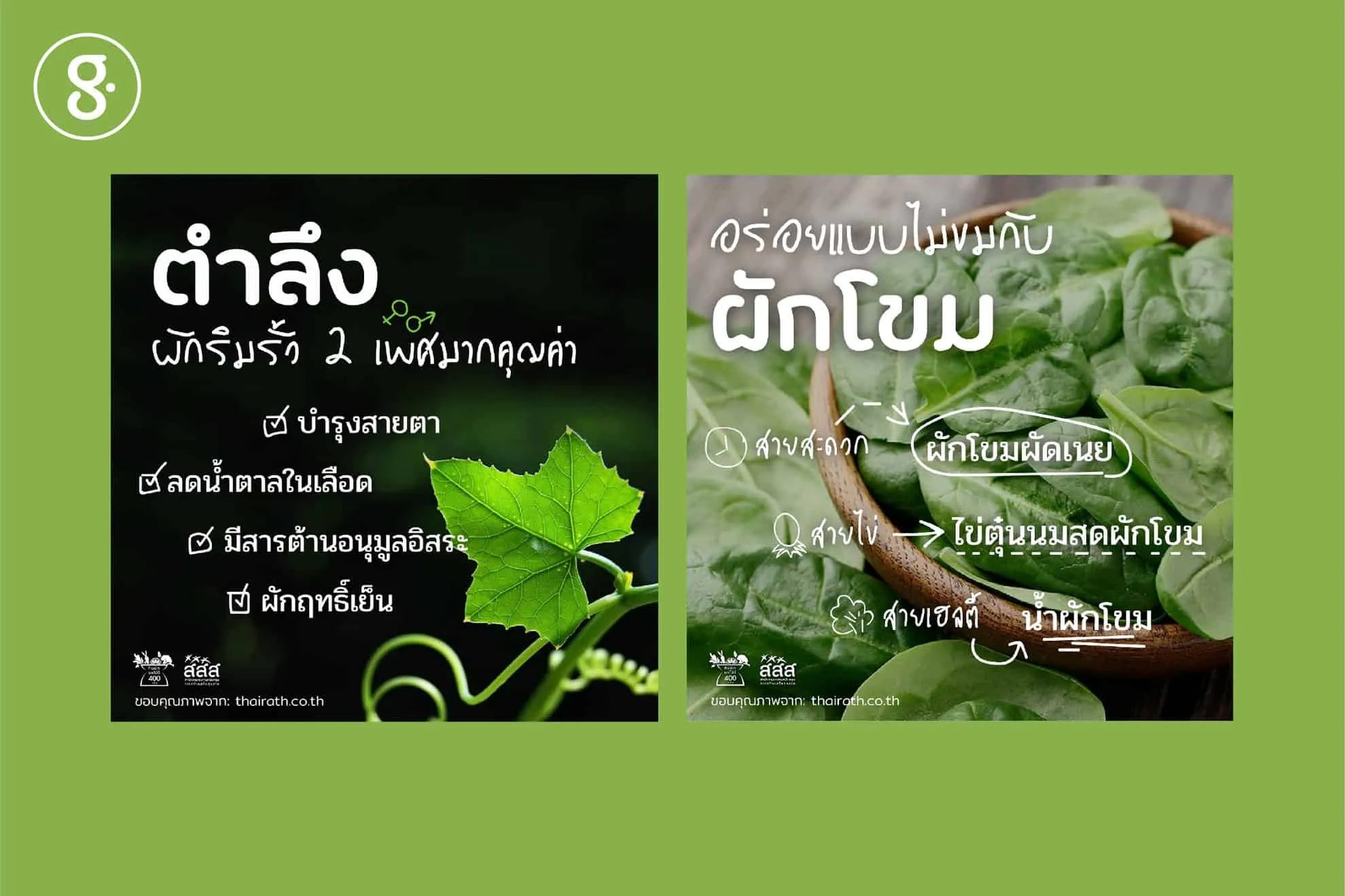 Report_ภาคีผัก 400 กรัม-04 - greenery.