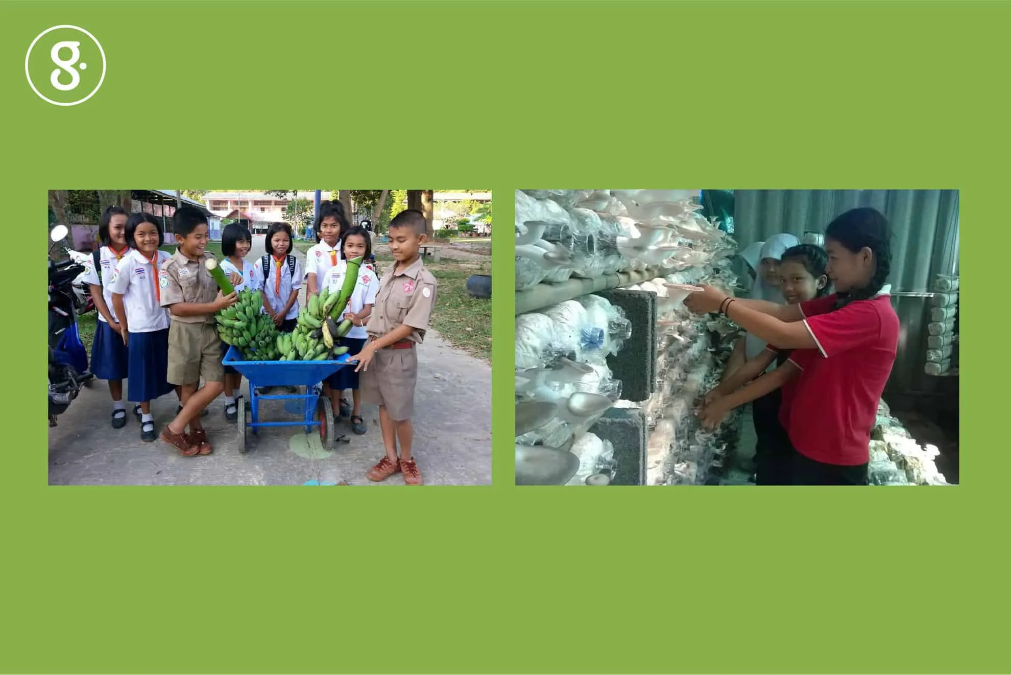 Special_ภาคีเด็กไทยแก้มใส-05 - greenery.