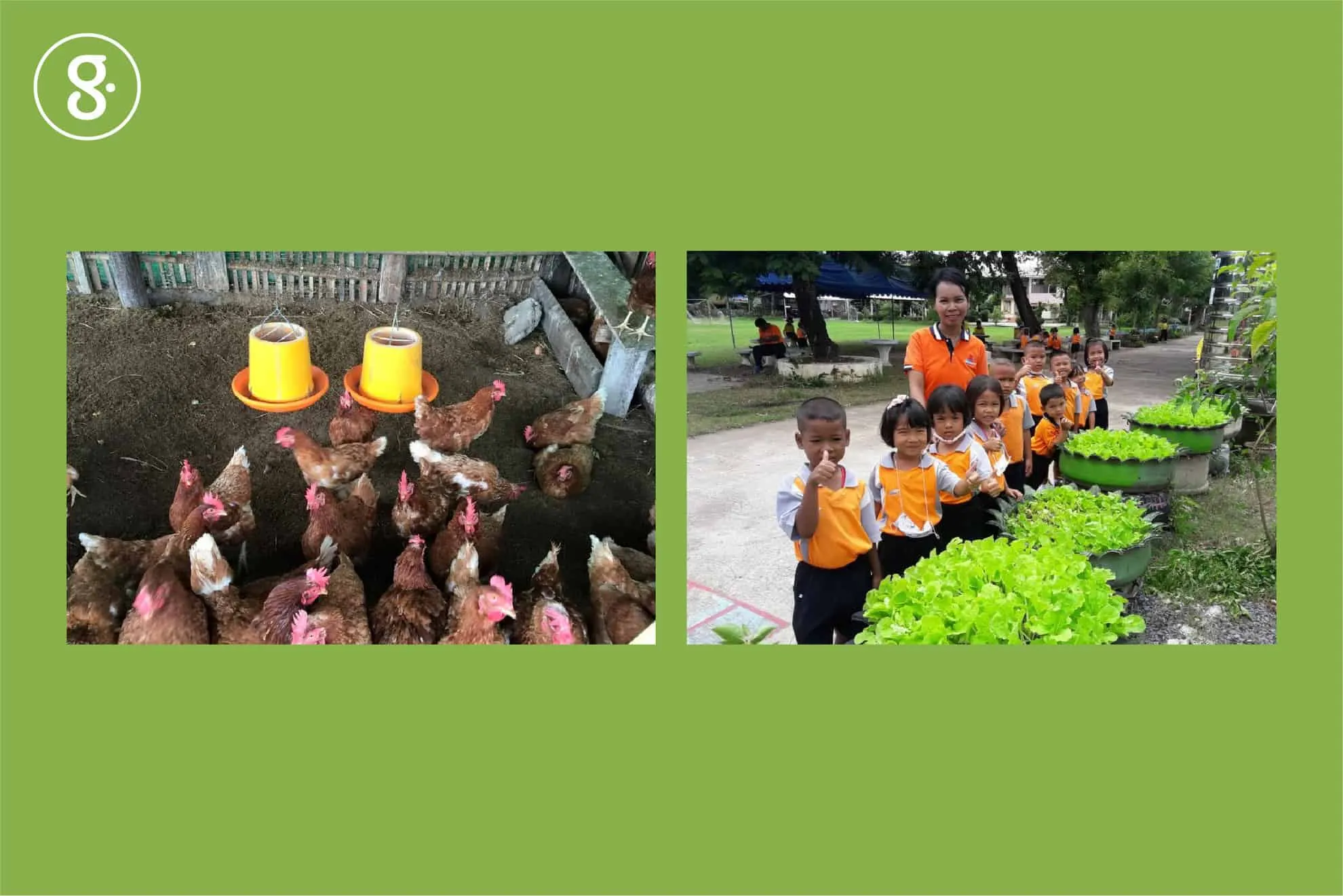 Special_ภาคีเด็กไทยแก้มใส-06 - greenery.