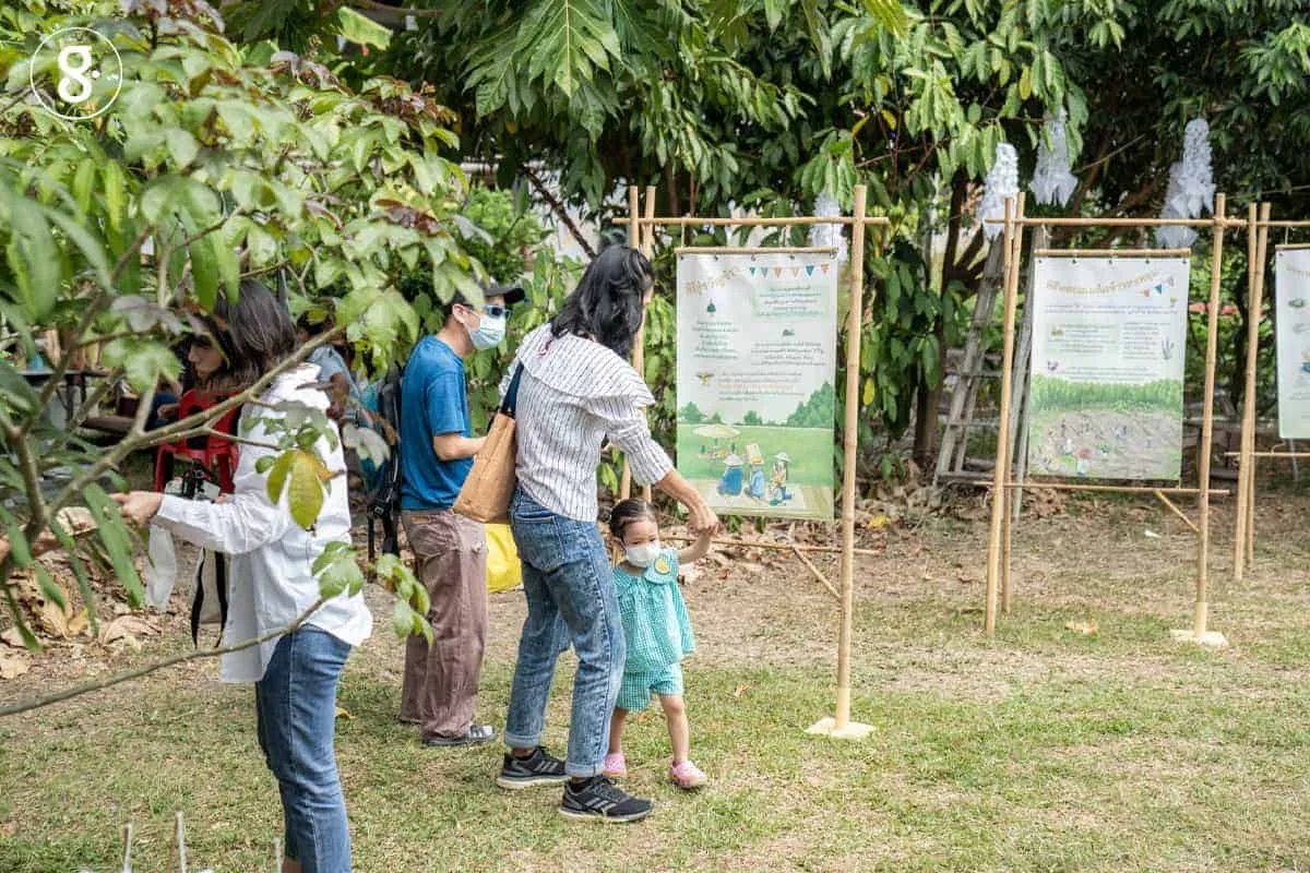 Photos-for-Article 04 - greenery.