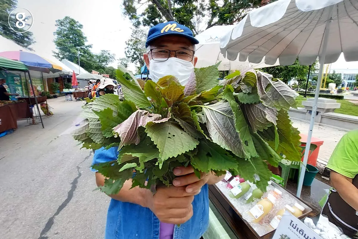 FORMAT PHOTO WITH LOGO-14 - greenery.
