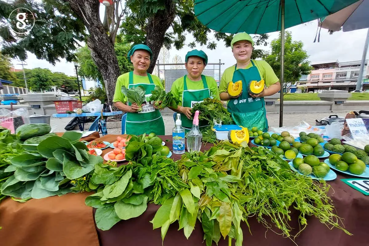 FORMAT PHOTO WITH LOGO-23 - greenery.