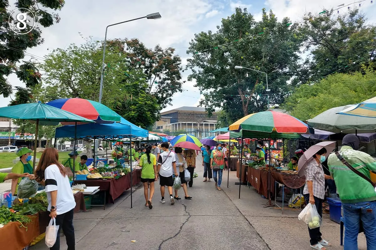 FORMAT PHOTO WITH LOGO-31 - greenery.