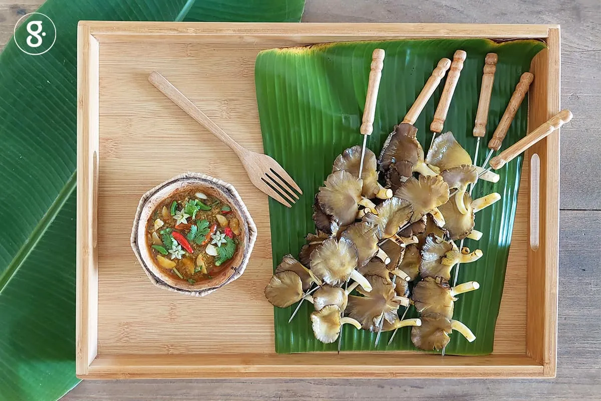 PHOTO WITH LOGO-19 - greenery.