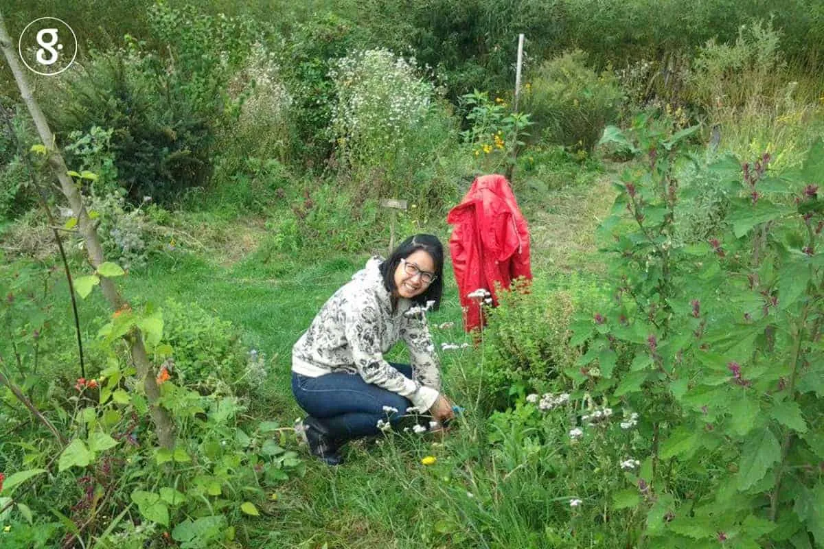 Photos-for-Article 05 - greenery.