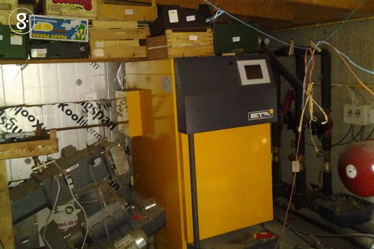 Photos-for-Article 09 - greenery.