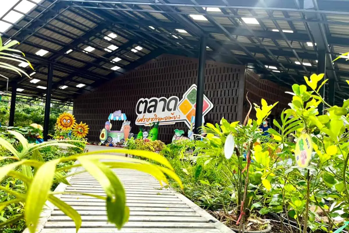 PHOTO-01 - greenery.