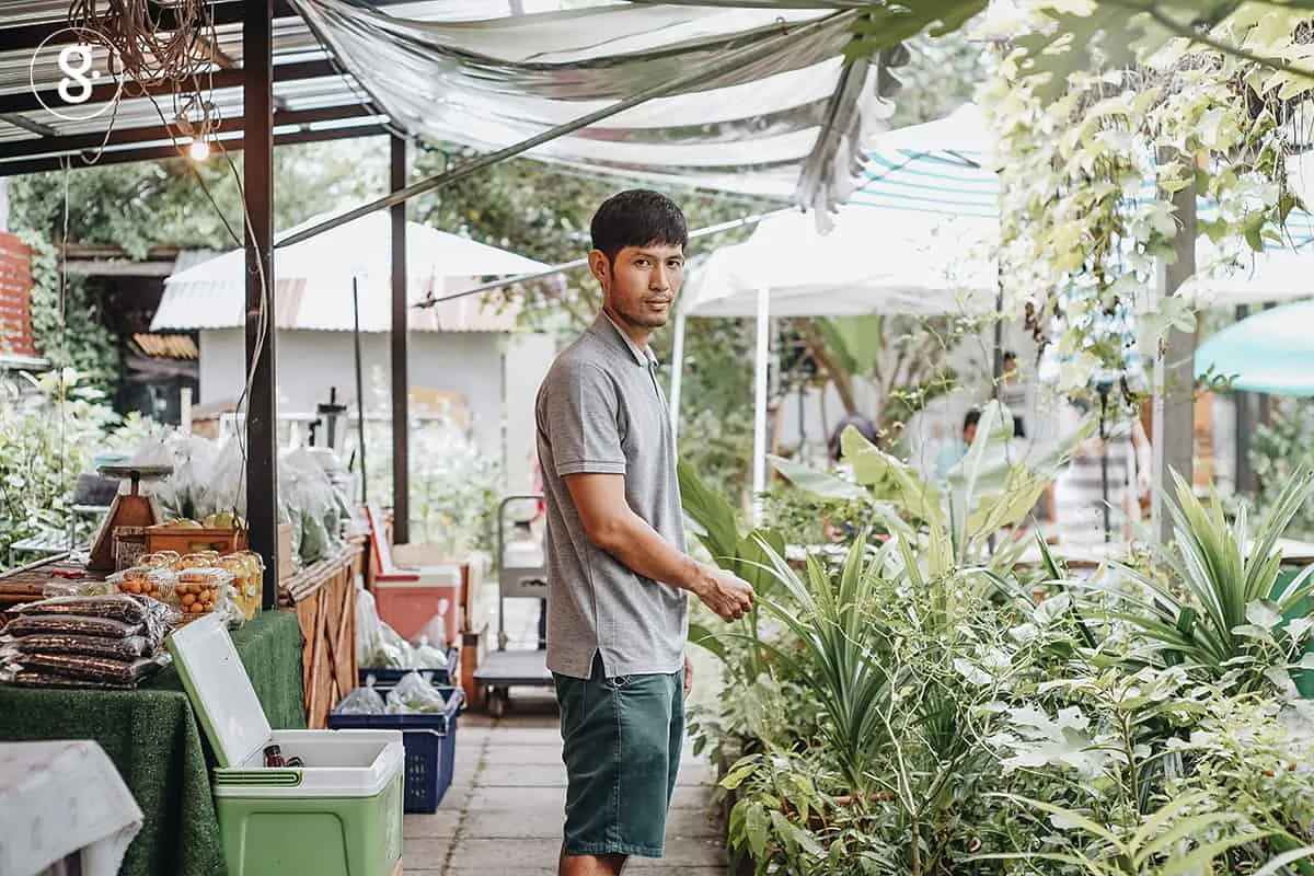 PHOTO LOGO-19 - greenery.