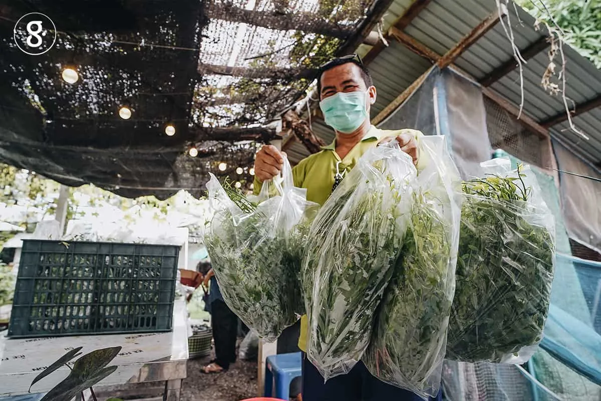 PHOTO LOGO-28 - greenery.