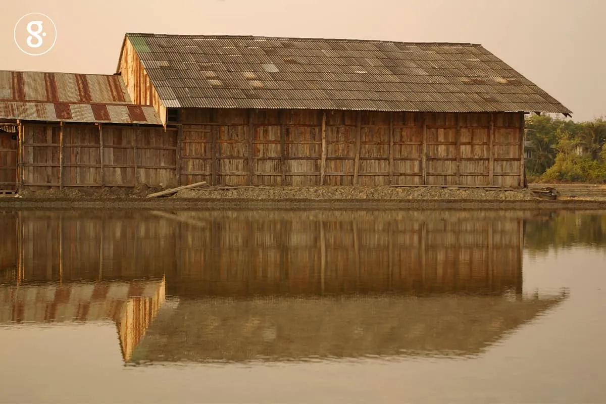 PHOTO LOGO-7 - greenery.