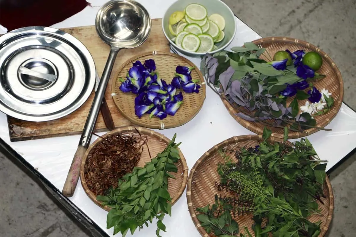 PHOTO Resize-07 - greenery.