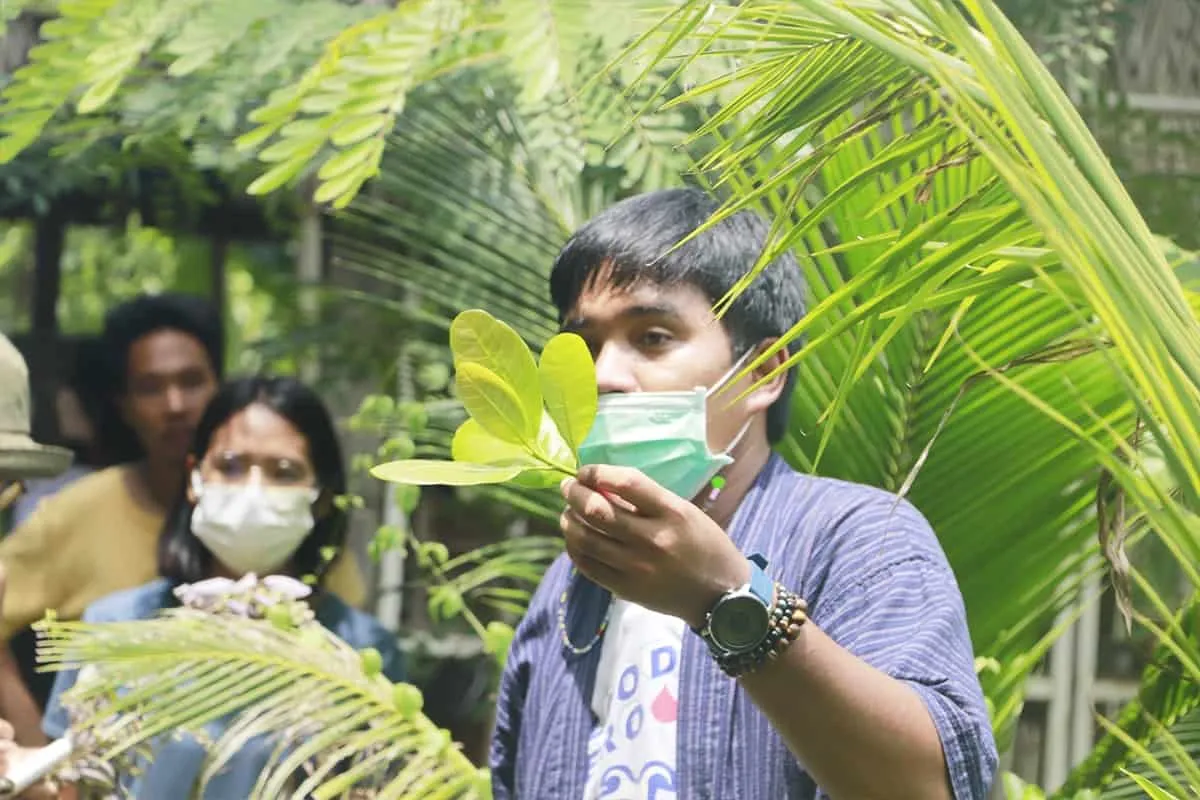 PHOTO Resize-09 - greenery.