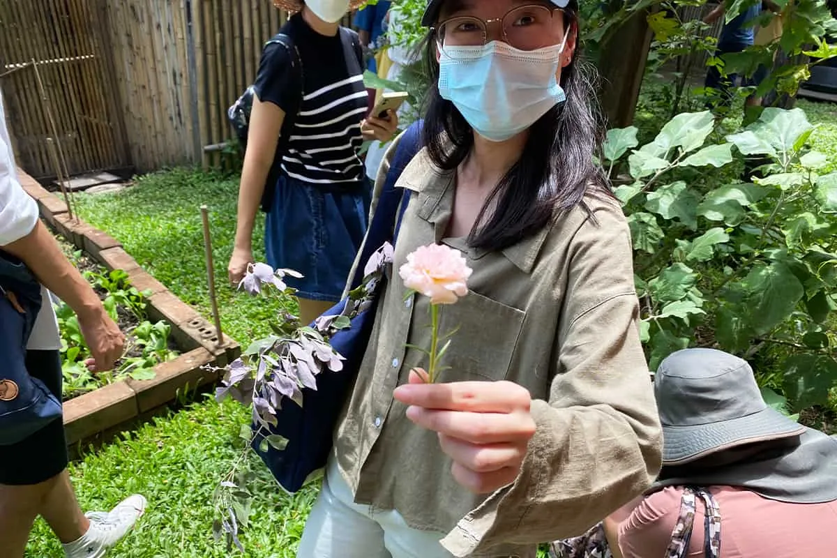 PHOTO Resize-15 - greenery.