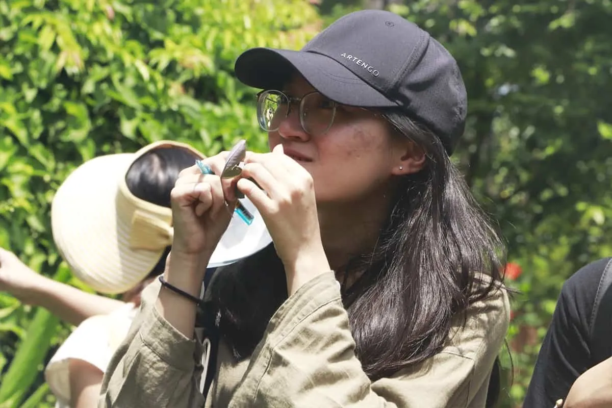 PHOTO Resize-18 - greenery.