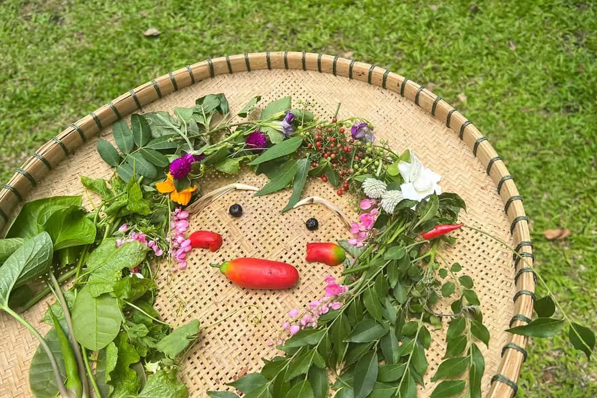 PHOTO Resize-19 - greenery.