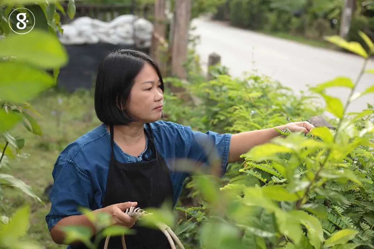 PHOTO WITH LOGO-11 - greenery.