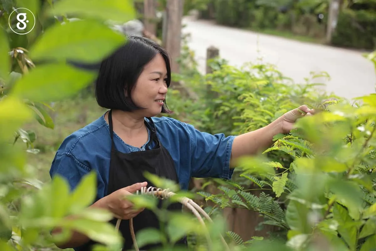 PHOTO WITH LOGO-12 - greenery.