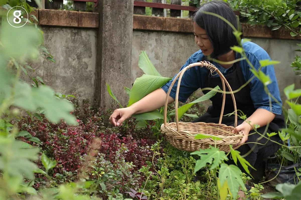 PHOTO WITH LOGO-14 - greenery.