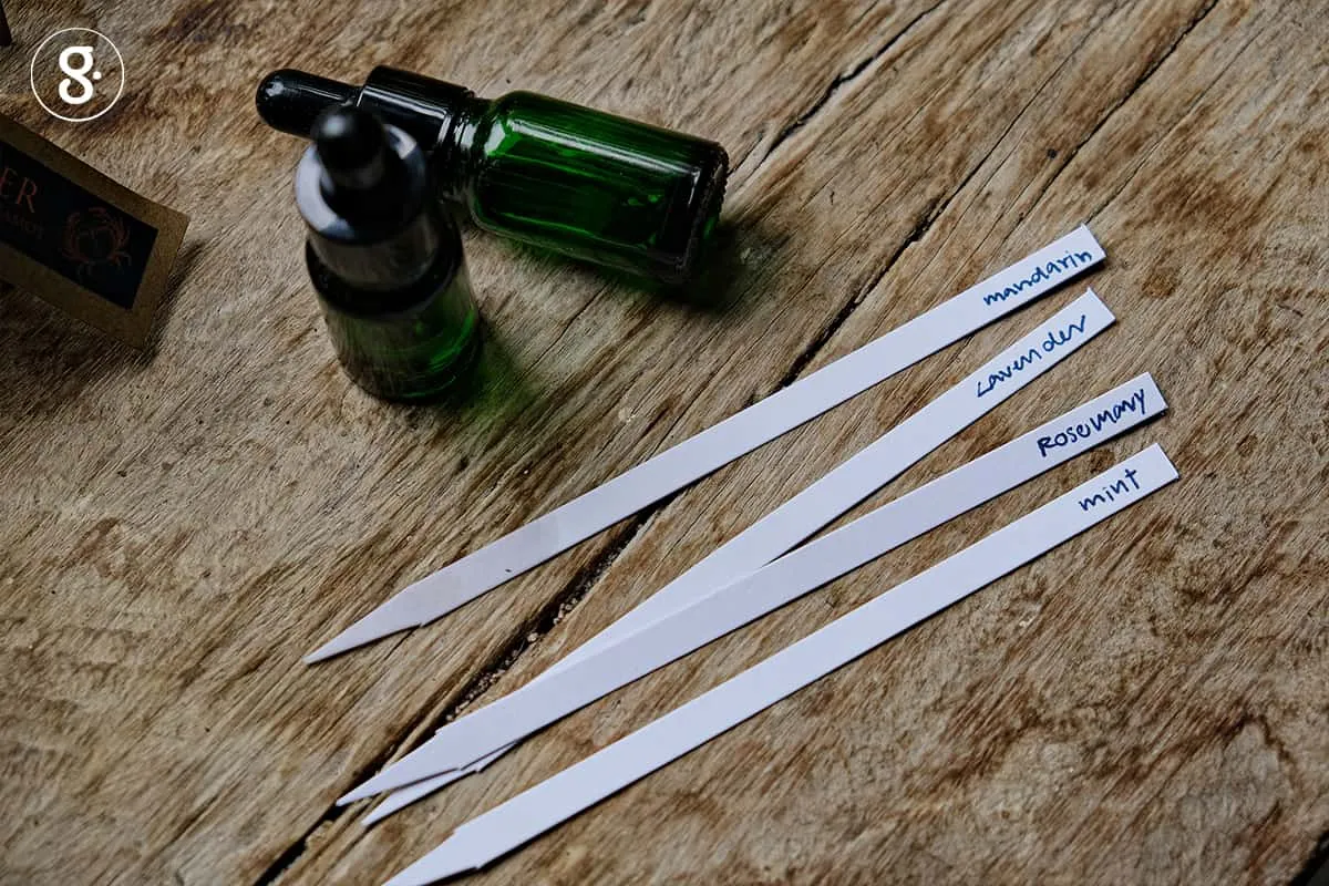 PHOTO WITH LOGO-27 - greenery.