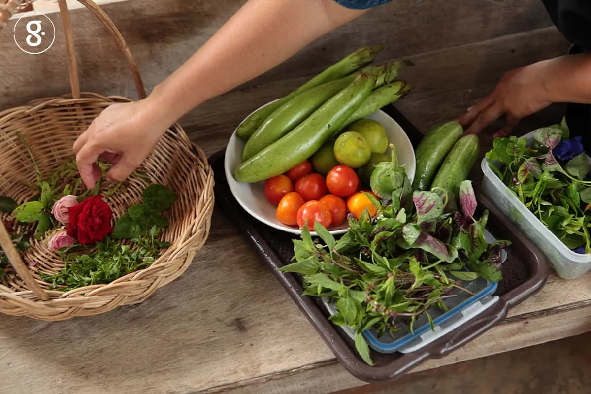 PHOTO WITH LOGO-28 - greenery.