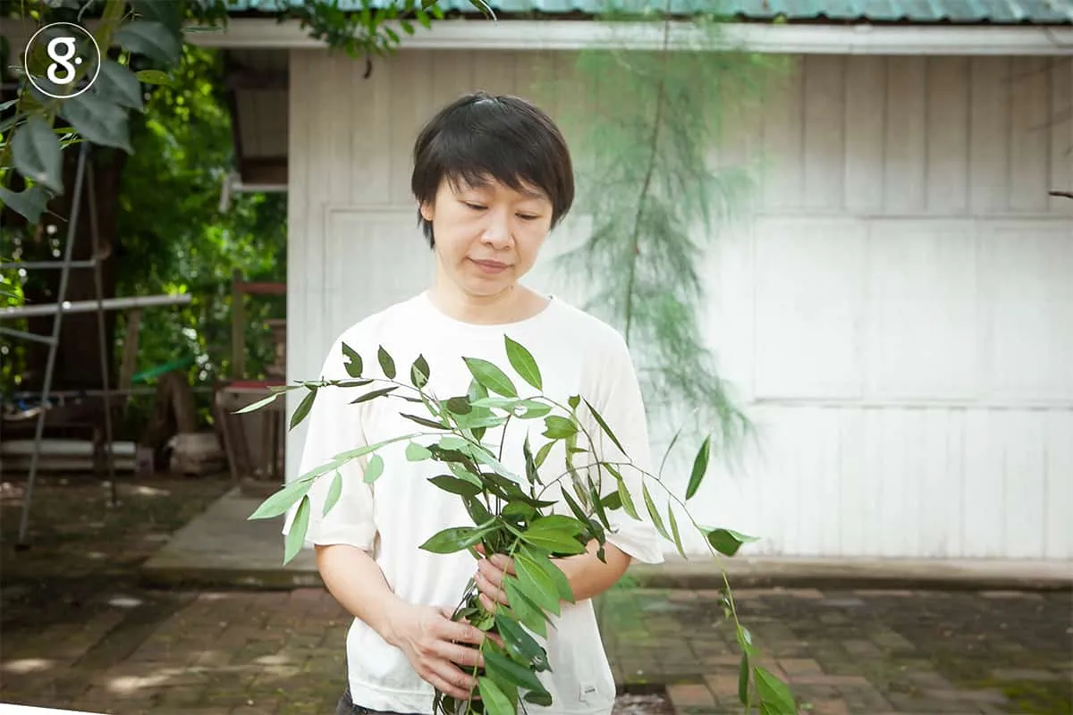 PHOTO LOGO-14 - greenery.