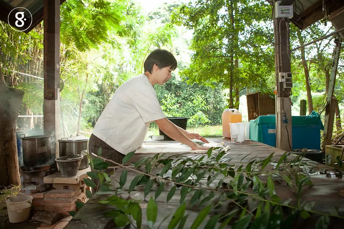 PHOTO LOGO-9 - greenery.