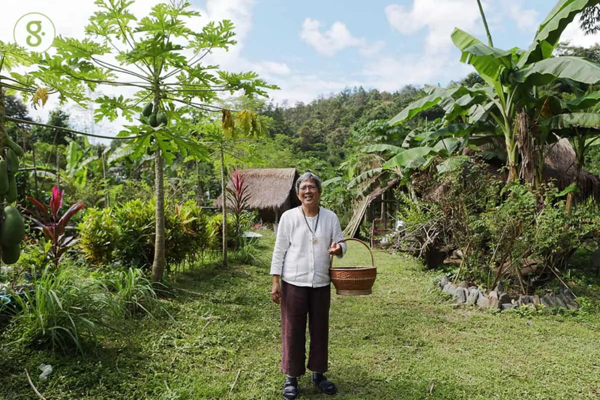 436291580-_30 - greenery.