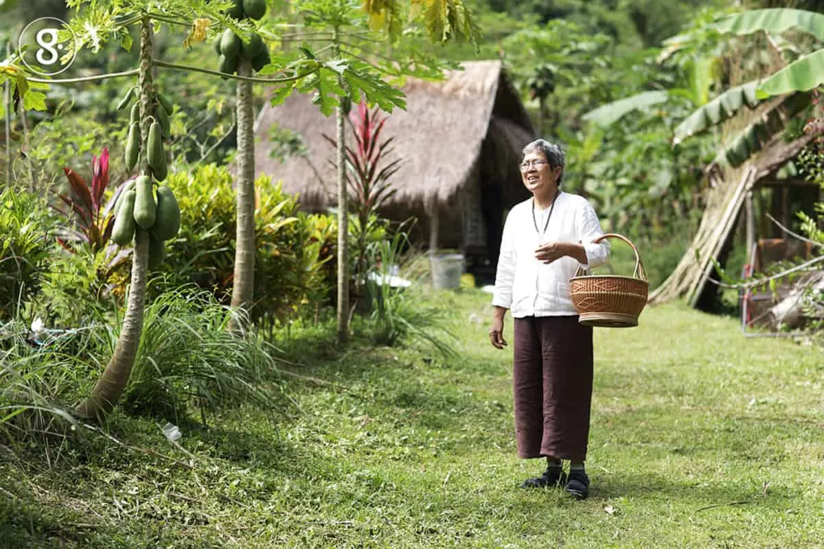 436291660-_22 - greenery.