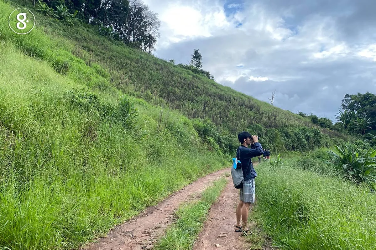 443983655-green-journey_14 - greenery.