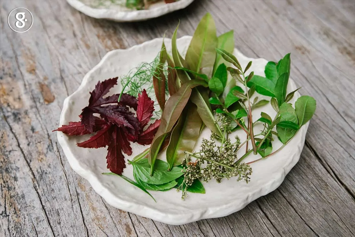 450730022-isan-flavor-house_19 - greenery.