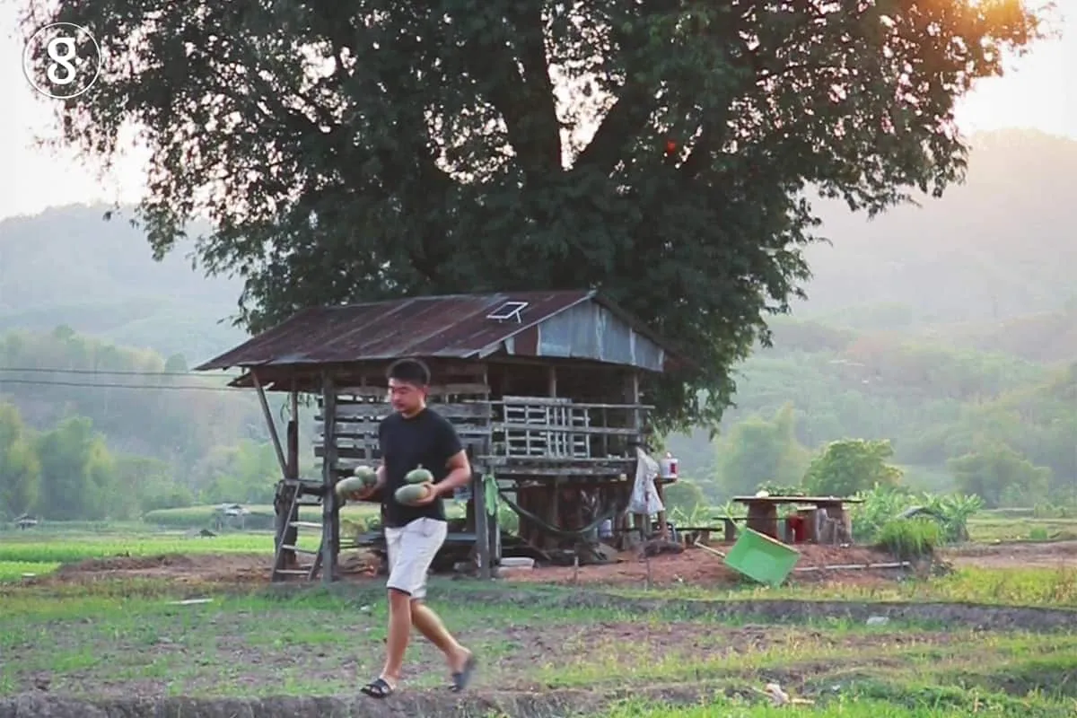 452117788-essay-spacial_21 - greenery.