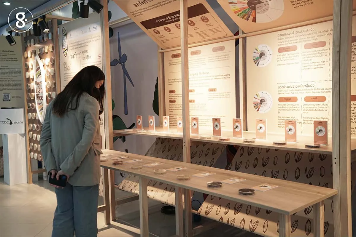 458863483-report_25 - greenery.