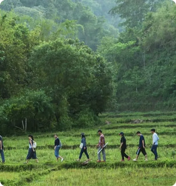 about_gal_15 - greenery.