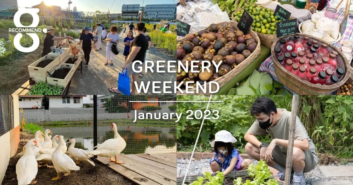 แชร์ 5 พิกัดให้ชาวกรีนเปิดรับเอเนอร์จีดี ๆ ในปีกระต่าย - greenery.