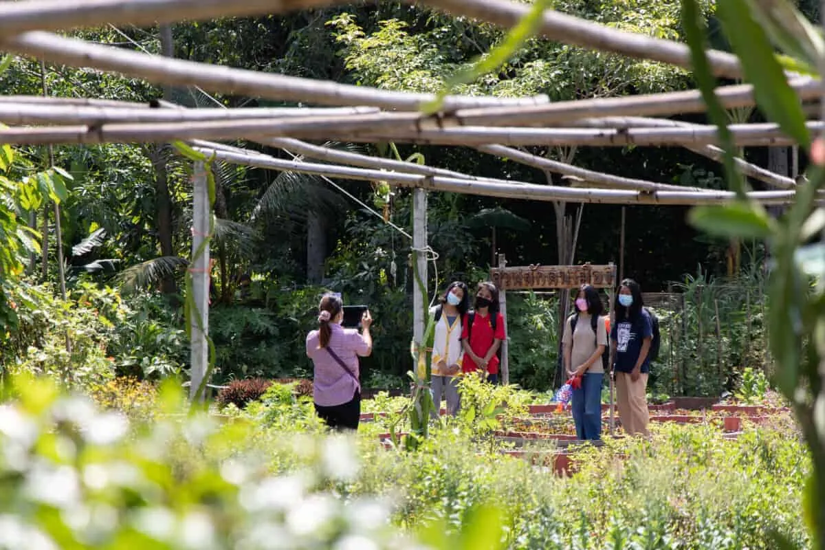 461908333-greenery-weekend-10 - greenery.