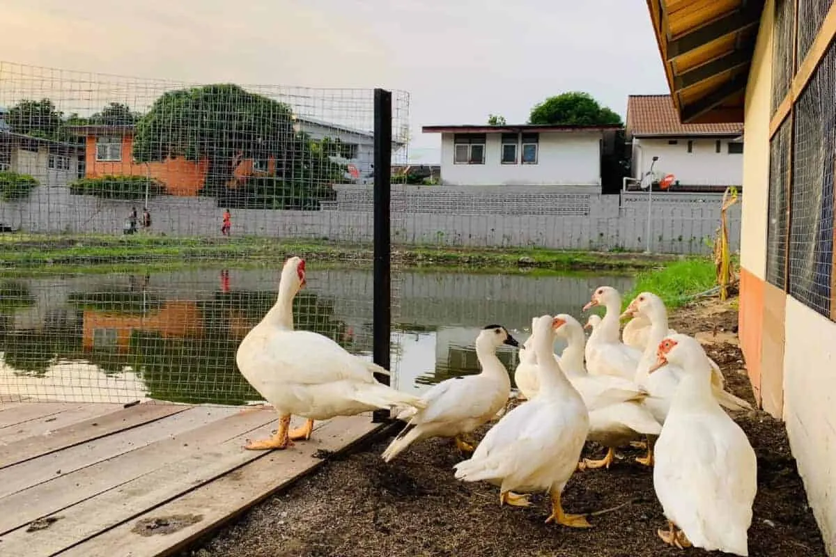 461908381-greenery-weekend-06 - greenery.