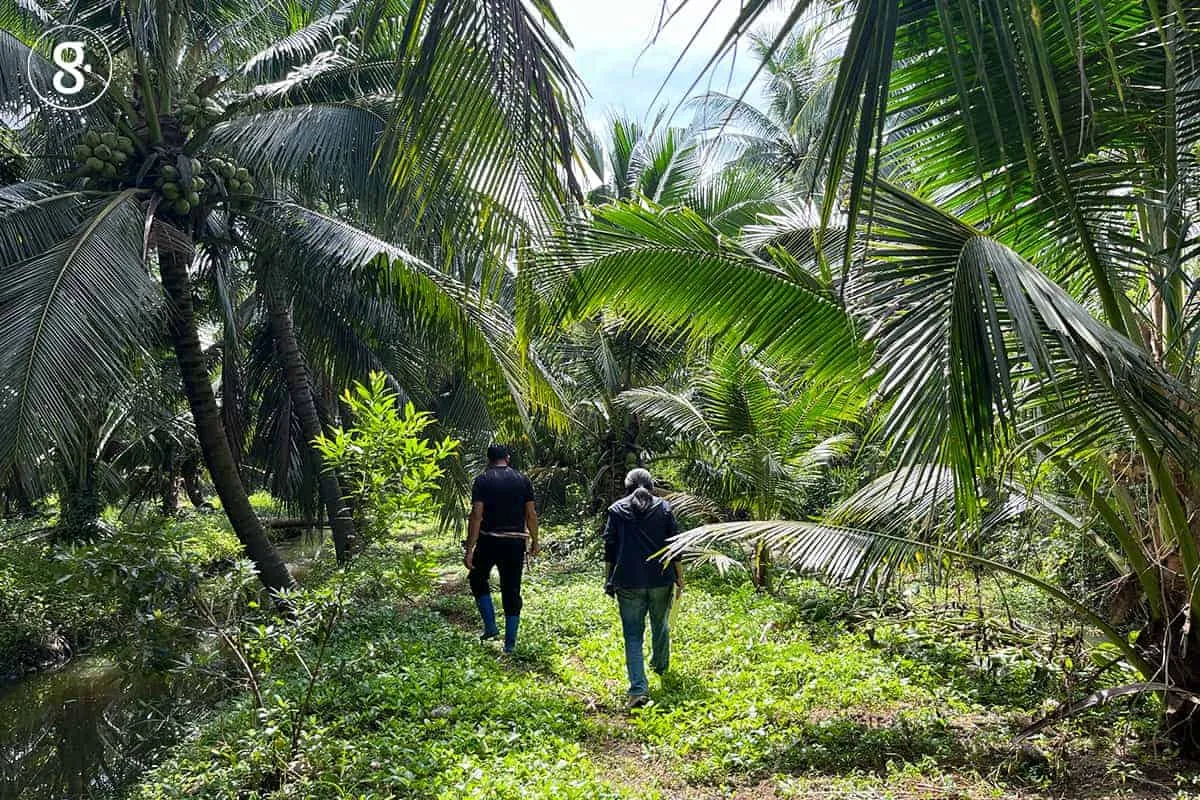 469427153-_20 - greenery.