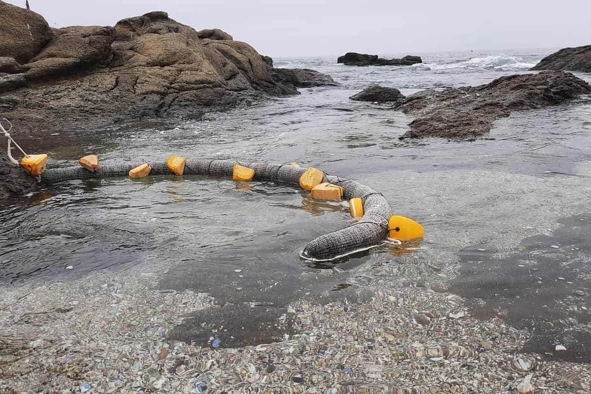 471194836-insight_8 - greenery.