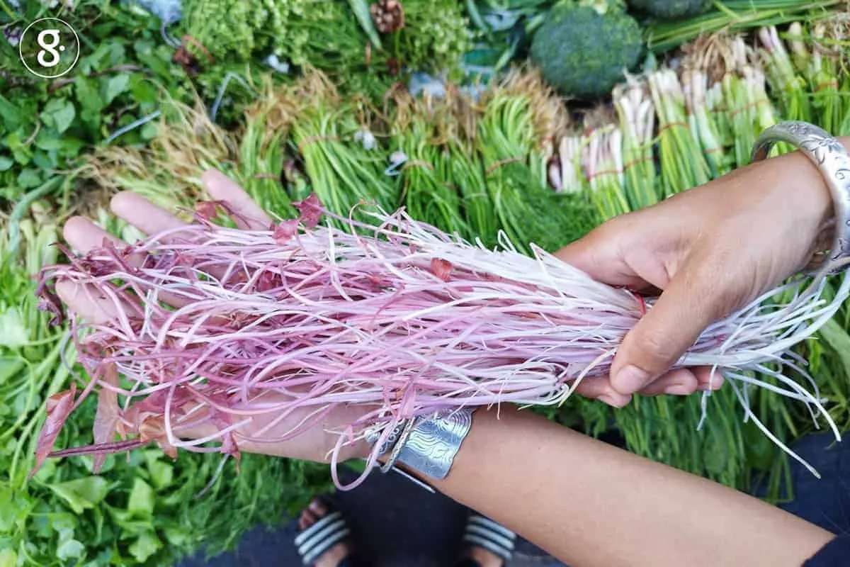 471999686-10 - greenery.