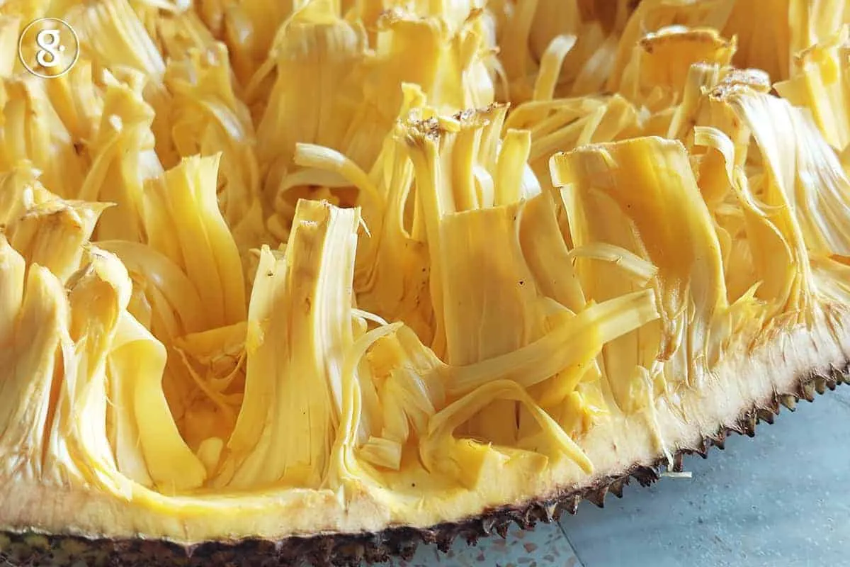 472422174-18 - greenery.