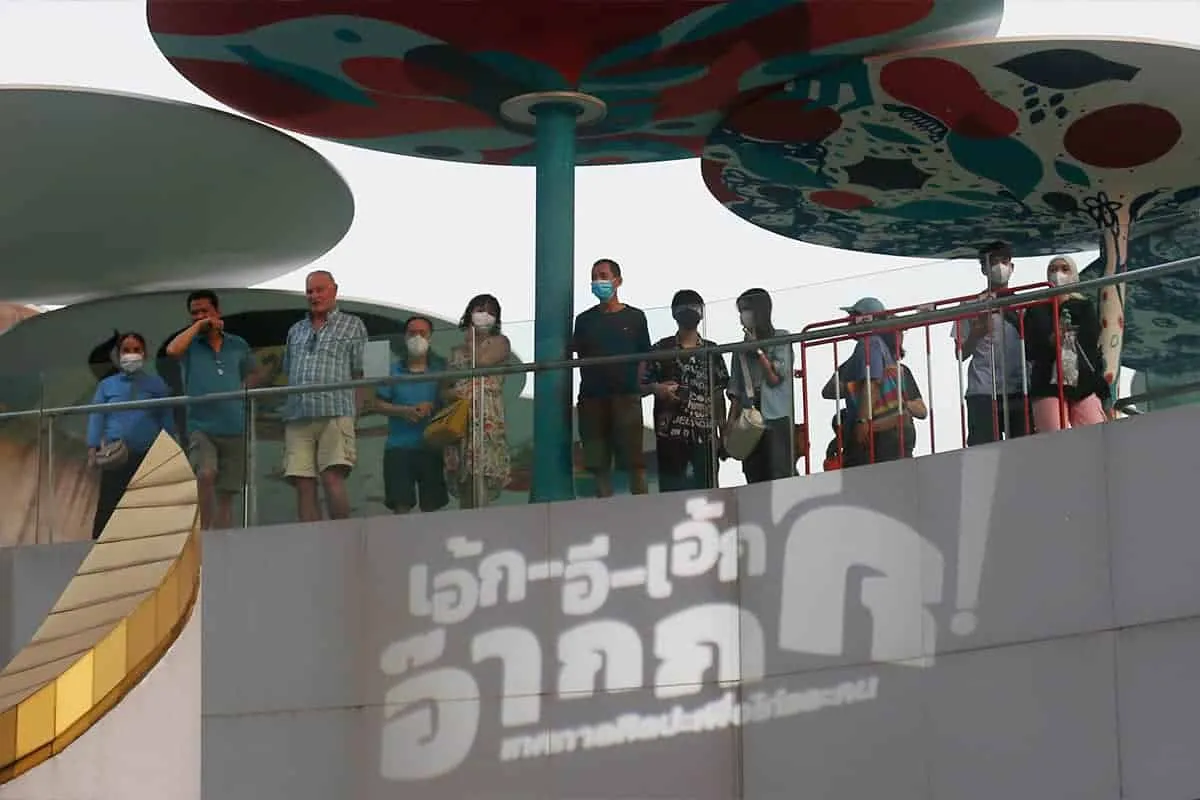 478389802-28 - greenery.