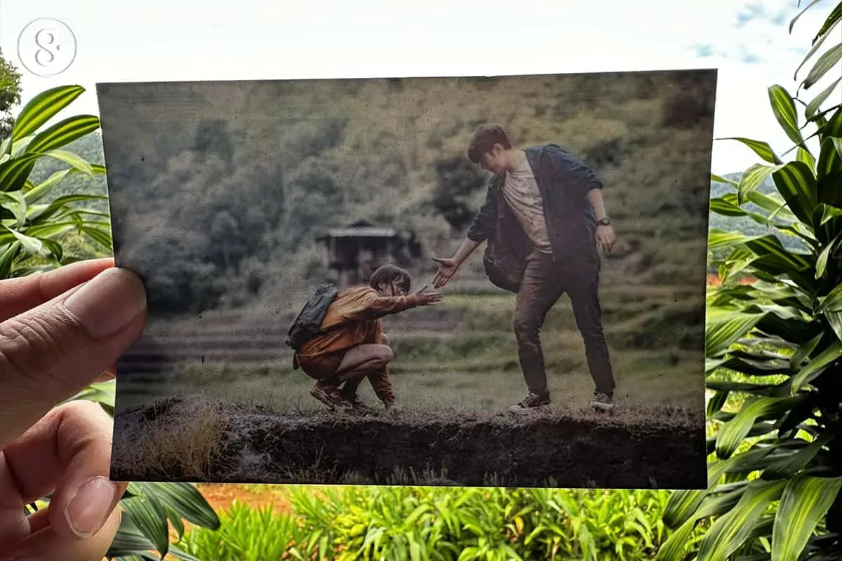 483631068-14 - greenery.