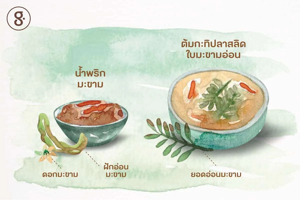 Tamarind-03 - greenery.