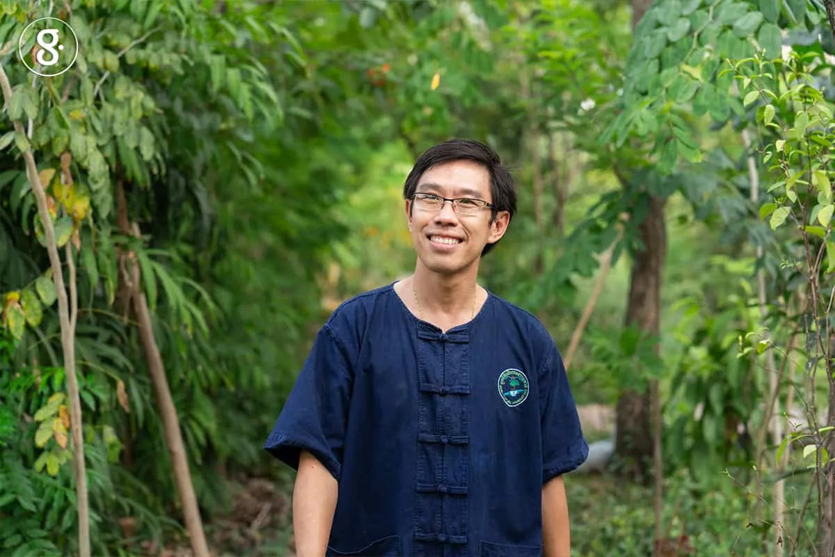 509968691-5 - greenery.